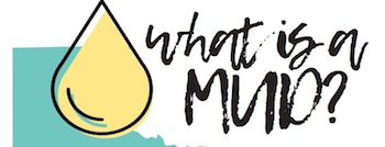 What is a MUD? – McKinney MUD 1